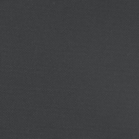 Zatahovací boční markýza černá 100 x 600 cm,  4004579