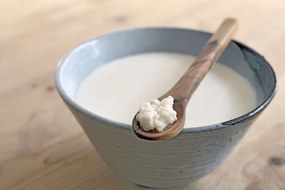 Kefirko zrna pro přípravu mléčného kefíru