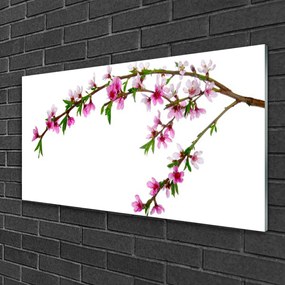 Obraz na skle Větev Květ Příroda 125x50 cm