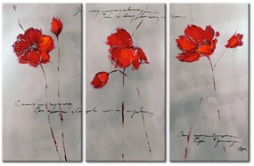 Obraz Jemnost maků (3-dílný) - šedá fantazie s květinami a nápisy