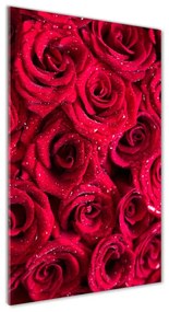 Wallmuralia Vertikální Foto obraz sklo tvrzené Červené růže 50x100