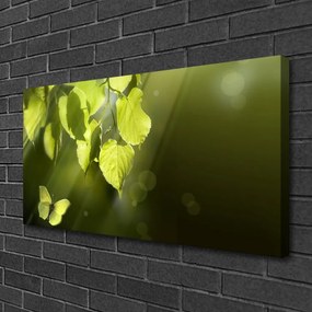 Obraz na plátně Listy Slunce Paprsky 125x50 cm