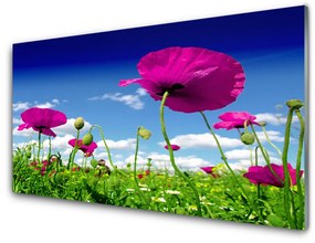Plexisklo-obraz Louka Květiny Nebe Příroda 100x50 cm