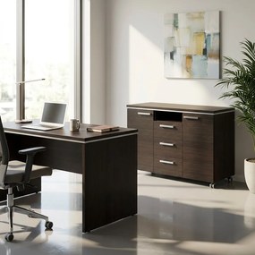 Mobilní kontejner TopOffice 120 x 50,4 cm, wenge