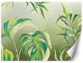 Gario Fototapeta Listy monstery na světle zeleném pozadí Materiál: Vliesová, Rozměry: 200 x 140 cm