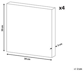 Sada 4 barevných obrazů na plátně 30 x 30 cm  BOMBI  Beliani