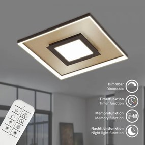 Briloner 3641-017 - LED Stmívatelné svítidlo FRAME LED/30W/230V 2700-6500K + DO