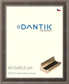 DANTIK rámeček 40x50 | TOOTH malá stříbrno černá (Plexi Čiré)