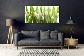 akrylový obraz Tulipány Květiny Rostlina 120x60 cm