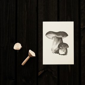 Plakát Porcini 30x40