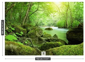 Fototapeta Lesní řeka 104x70