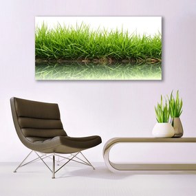akrylový obraz Tráva Voda Příroda Rostlina 120x60 cm