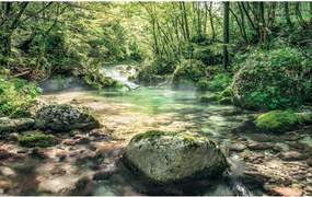Komar Vliesová fototapeta Tranquil Pool 400 x 250 cm