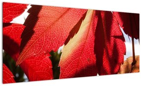 Obraz červených listů (100x40cm)