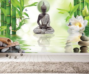 Malvis ® Tapeta Zen Spa Vel. (šířka x výška): 360 x 260 cm