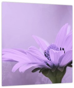 Obraz - Fialová květina (30x30 cm)