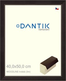 DANTIK rámeček 40x50 | WOODLINE hnědá (Sklo Čiré)