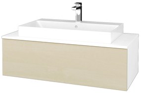 Dřevojas Koupelnová skříňka MODULE SZZ1 100 Varianta: N01 Bílá lesk / D10 Borovice Jackson