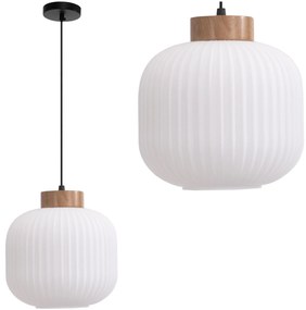 Toolight, závěsné svítidlo skleněné E27 APP1068-CP, bílá, OSW-04401