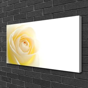 Obraz na plátně Růže Květ Rostlina 125x50 cm