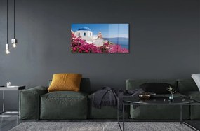 Obraz na skle Řecko květiny mořské stavby 100x50 cm