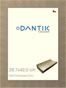 DANTIK rámeček 29,7x42 | Golf champagne (Plexi Čiré)
