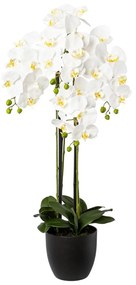 Gasper Orchidej x 4 v resinovém květináči, 99 cm, bílá