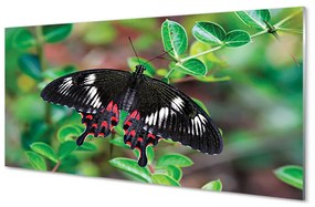 akrylový obraz List barevný motýl 125x50 cm