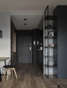 Moderní podhledové svítidlo Eiriam černá