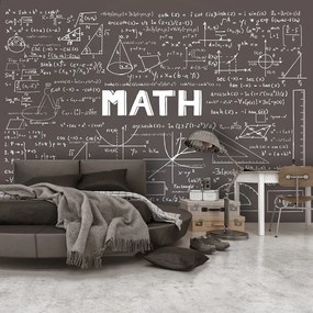 Fototapeta - Mathematical Handbook