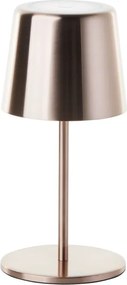 Brilliant G40939/29  Stolní AKU lampa XAANA světlá MĚĎ USB-C , CCT