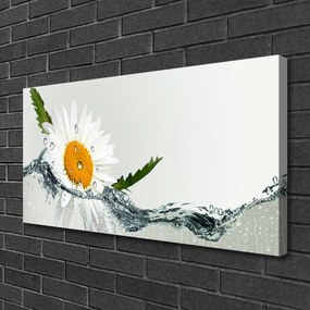 Obraz na plátně Sedmikráska ve Vodě 140x70 cm