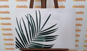 Obraz nádherný palmový list - 120x80 cm
