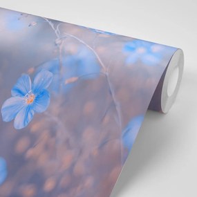 Samolepící fototapeta modré květiny na vintage pozadí