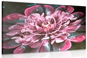 Obraz magický růžový květ - 90x60 cm