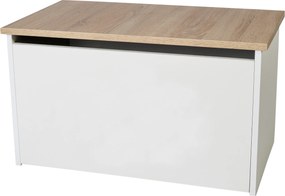 ADRK Furniture Truhla na hračky DARIA TB-Dar-W+S-O002
