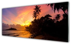 akrylový obraz Moře Slunce Palmy Krajina 125x50 cm