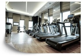 Fototapeta Moderní Fitness Klub Omyvatelný vlies 400x280