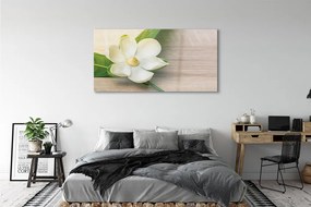 akrylový obraz bílá magnólie 140x70 cm