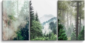 Sada obrazů 3 obrazy na plátně triptych les mlha dekorace obývacího pokoje 90x180