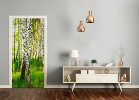 Fototapeta na dveře samolepící břízový les 95x205 cm