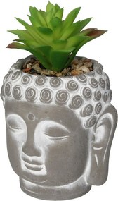 Dekorace Succulent III Buddha 17cm