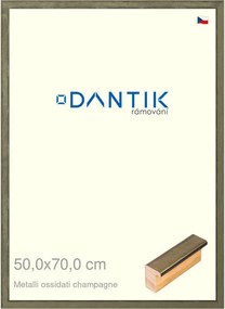DANTIK rámeček 50x70 | Metalli oidati champagne (Plexi Čiré)