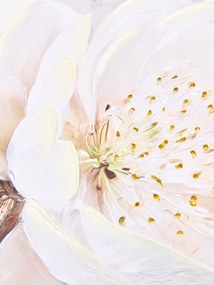 Sinsay - Dekorativní květinový obraz s 3D strukturou - vícebarevná