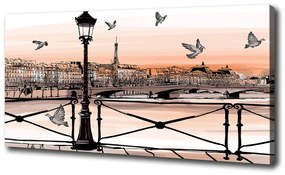 Wallmuralia Foto obraz na plátně Soumrak v Paříži 100x50
