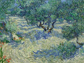 Obrazová reprodukce Olive Orchard - Vincent van Gogh, (40 x 30 cm)