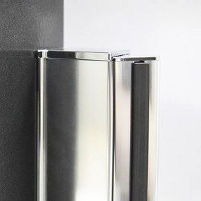 Roth Elegant Neo sprchové dveře 100 cm  jednokřídlé brillant transparent GDO1N/1000_GZN Koupelny Bernold