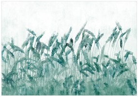 Fototapeta - Blue Ears of Wheat