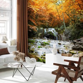 Fototapeta Vodopády - krajina kamenné řeky a skal uprostřed podzimního lesa