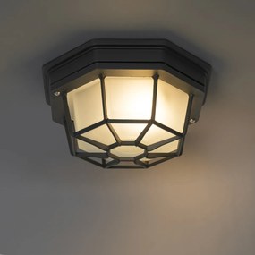 Venkovní stropní svítidlo tmavě šedé 21,3 cm IP44 - Bri